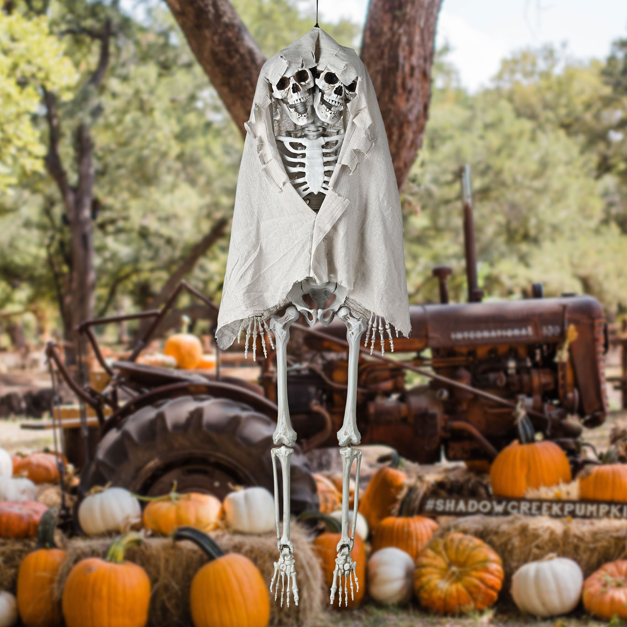 The Holiday Aisle® Kaytlynne Two Headed Halloween Skeleton Bone Life ...