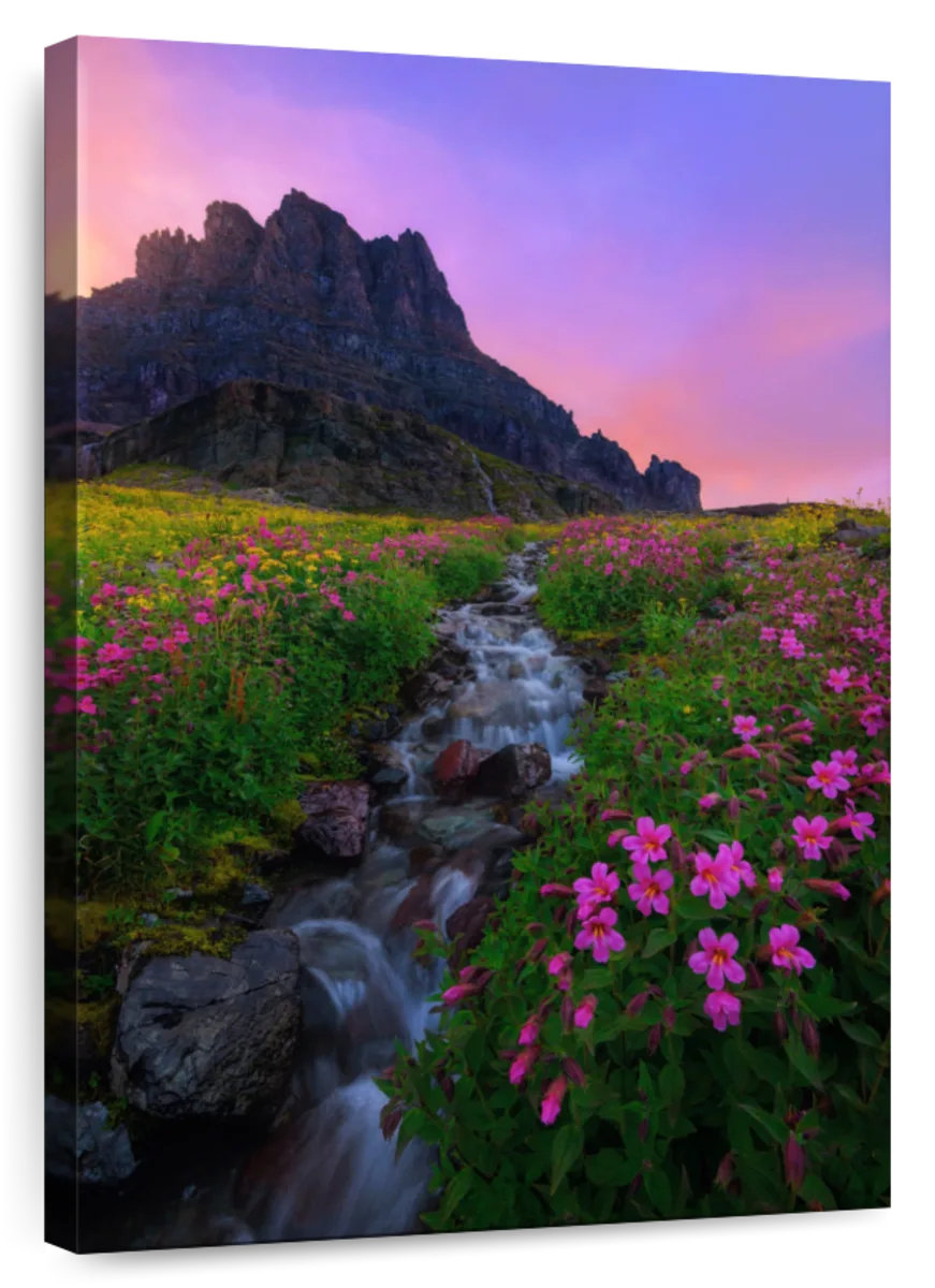 Millwood Pines Alvord Scenic Flower Field | Wayfair