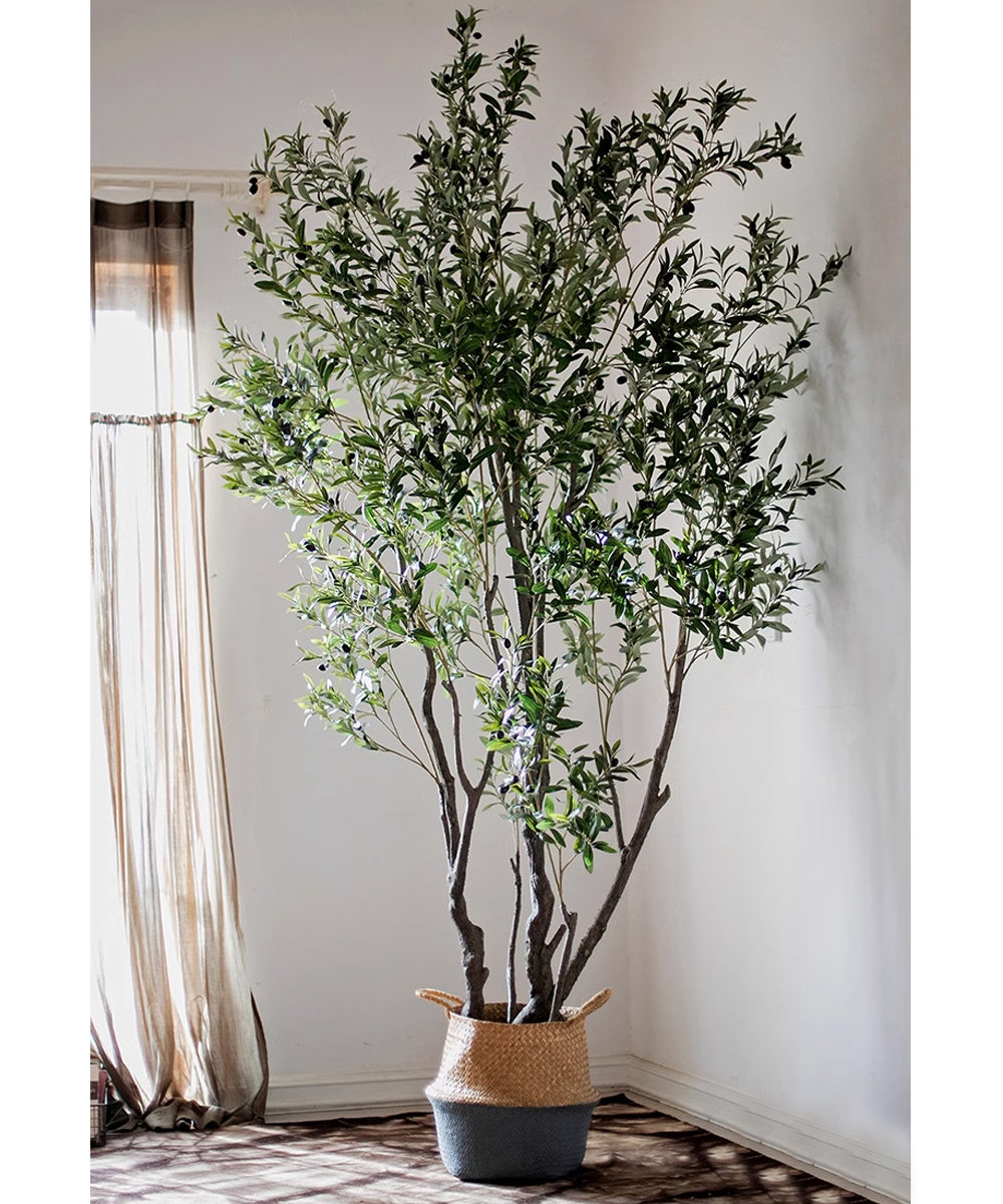Stella Trek Simulation Olive Tree Green Plant Bonsai Large Plants Fake ...