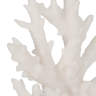 Dovecove 2-Pieces Coral Polyresin Bookends, White | Wayfair