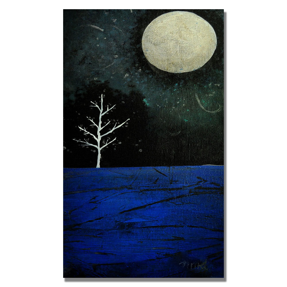 Trademark Fine Art 'Moonbeams' by Nicole Dietz Framed Painting Print on ...