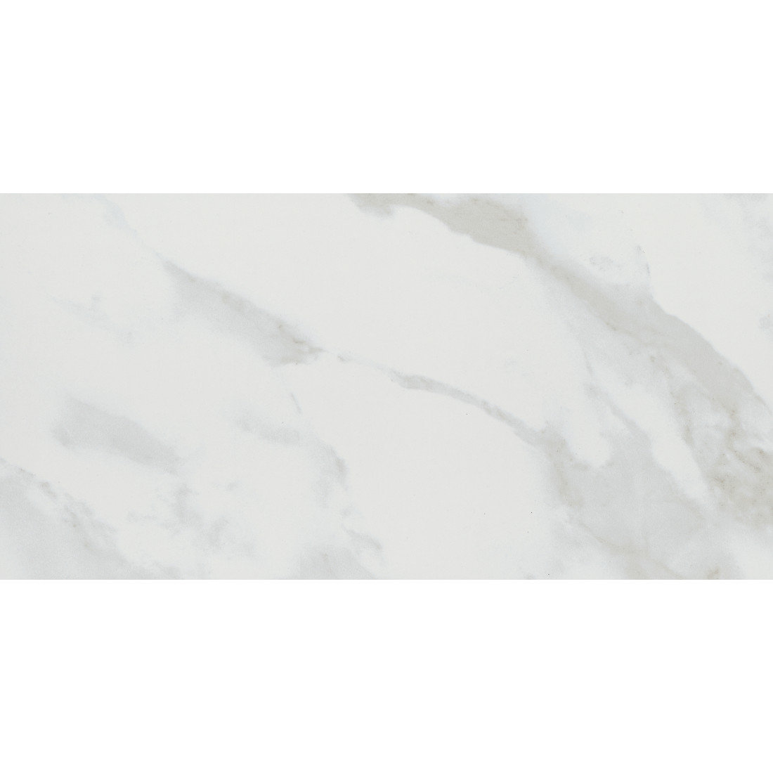 Emser Tile Vara Varzo 12 in. x 24 in. Matte Porcelain (15.5 sq. ft ...