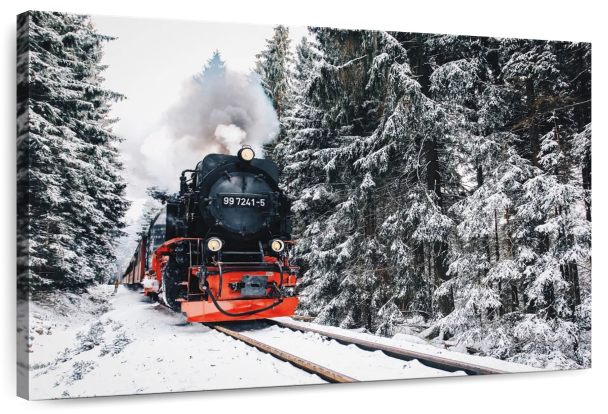 Elephant Stock Snowy Steam Train - Wayfair Canada