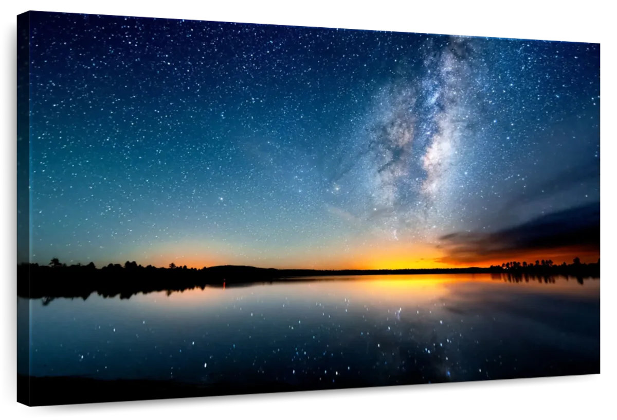 Elephant Stock Galaxy Sunset | Wayfair
