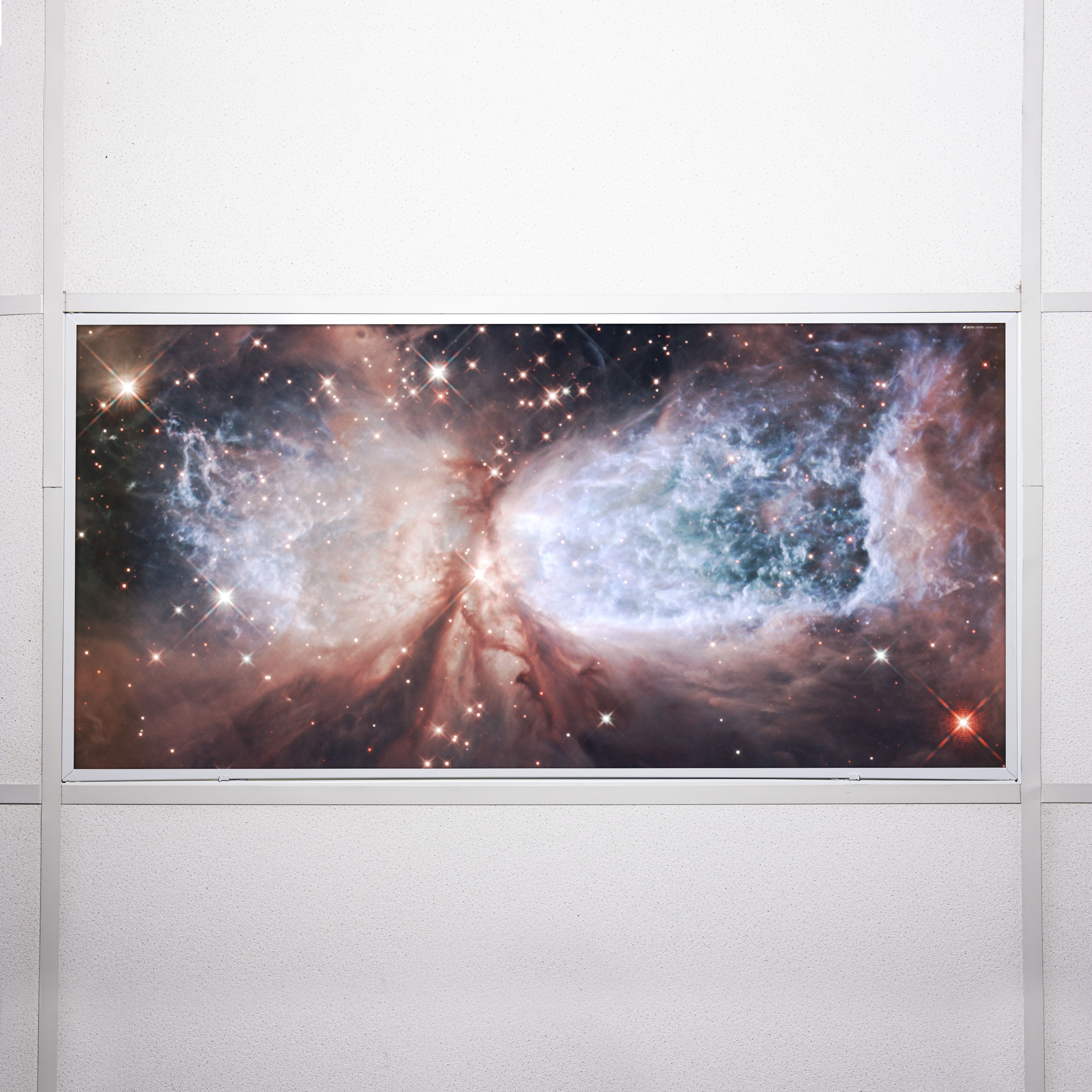 Octo Lights Astronomy Fluorescent Light Covers for Ceiling Lights - For ...