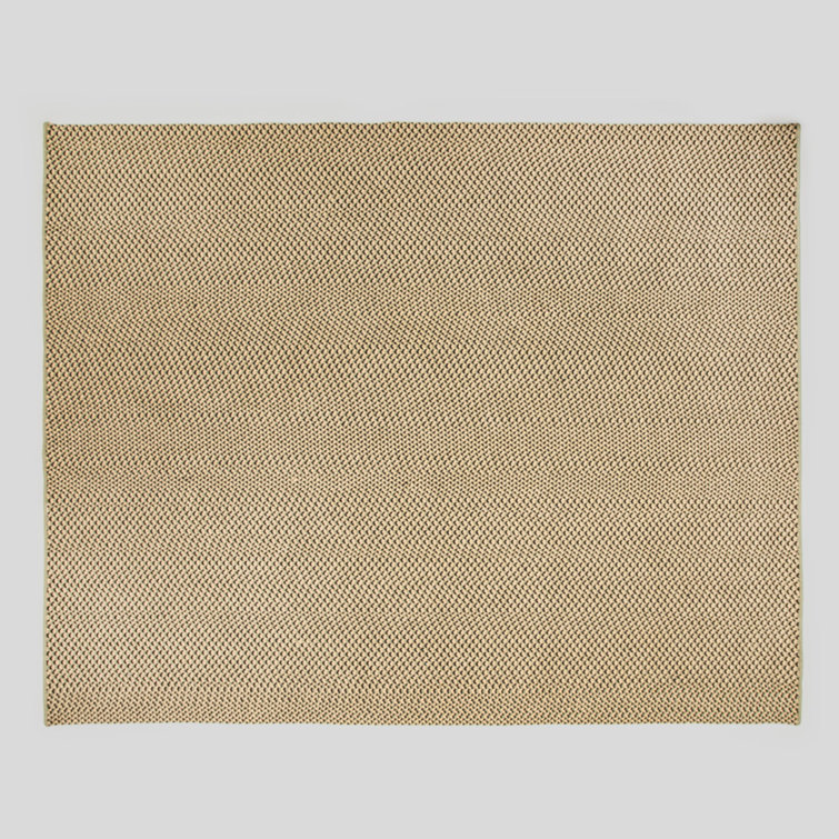 Sunbrella® Tan Indoor/Outdoor Rug | AllModern