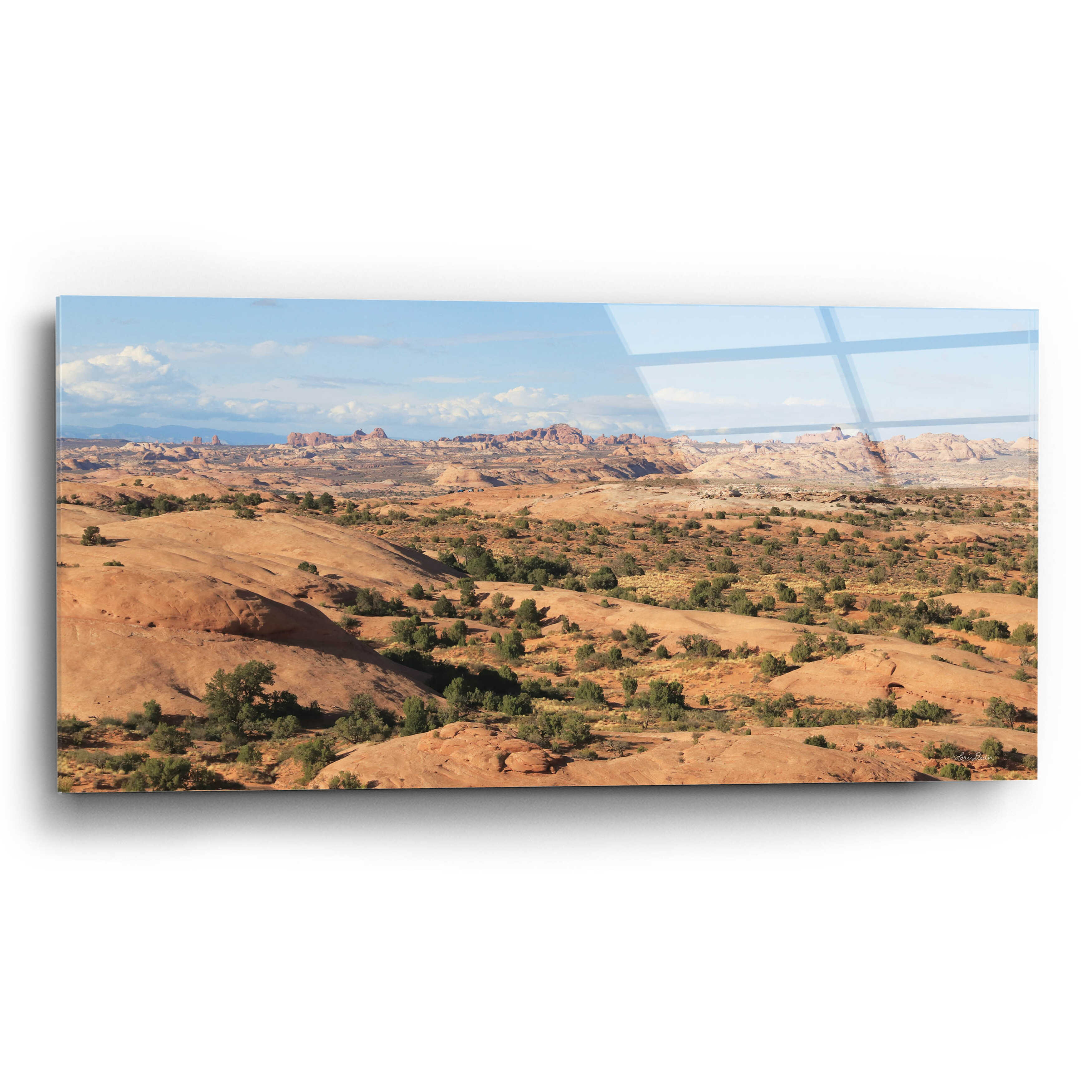 Millwood Pines Moab Sand Flats II by Lori Deiter - Unframed Print | Wayfair