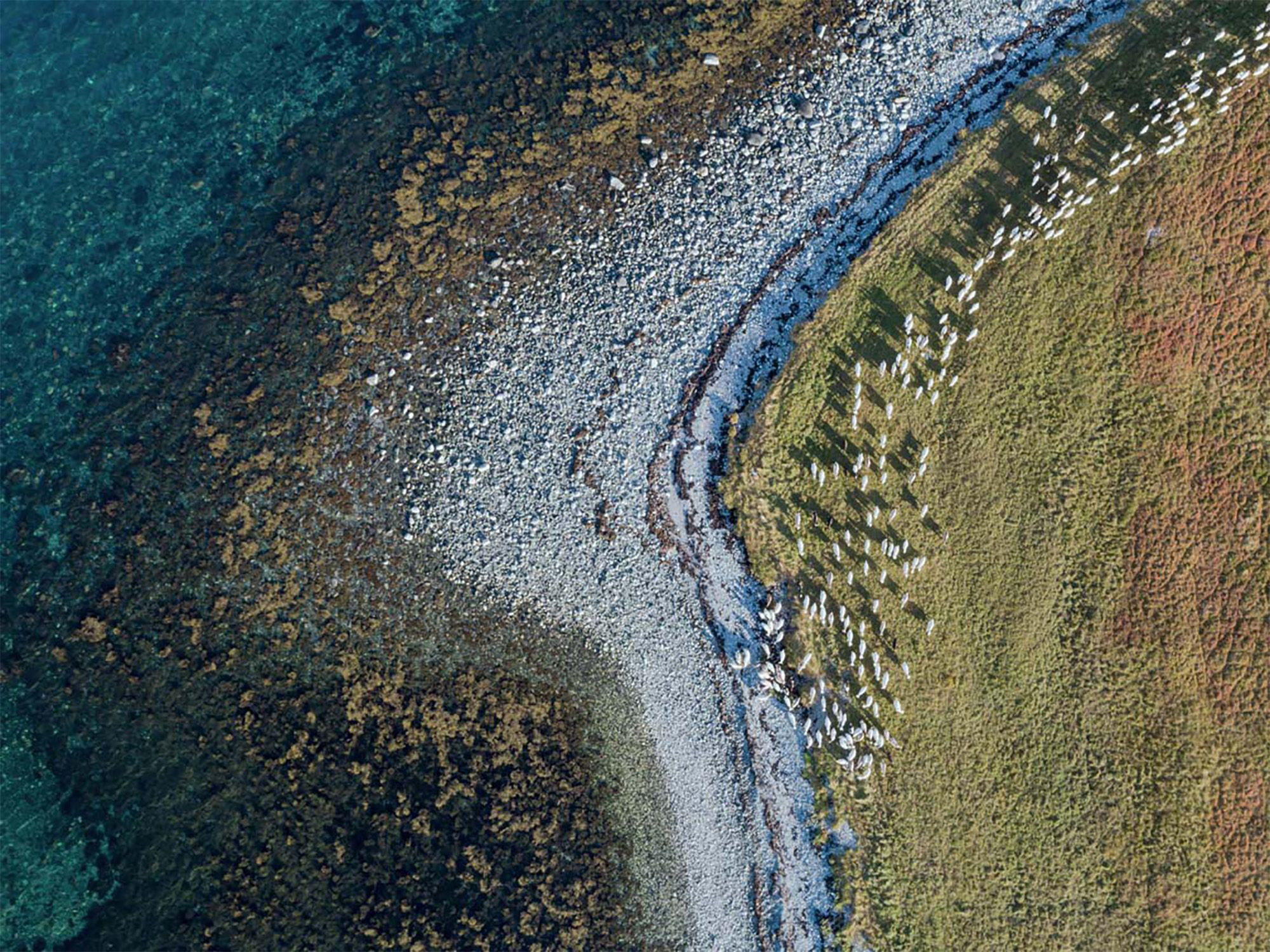 Wendover Art Group Small Aerial Shoreline 2 - Wayfair Canada