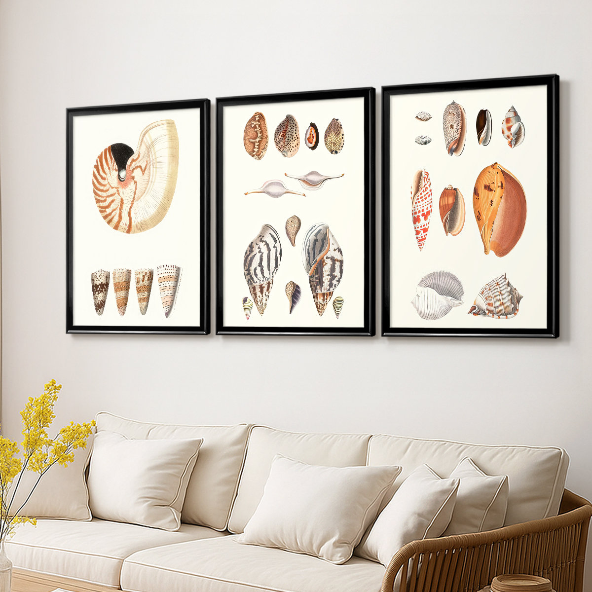 Wildon Home® Shell Collection I -Custom Framed Wrapped Gallery Canvas ...