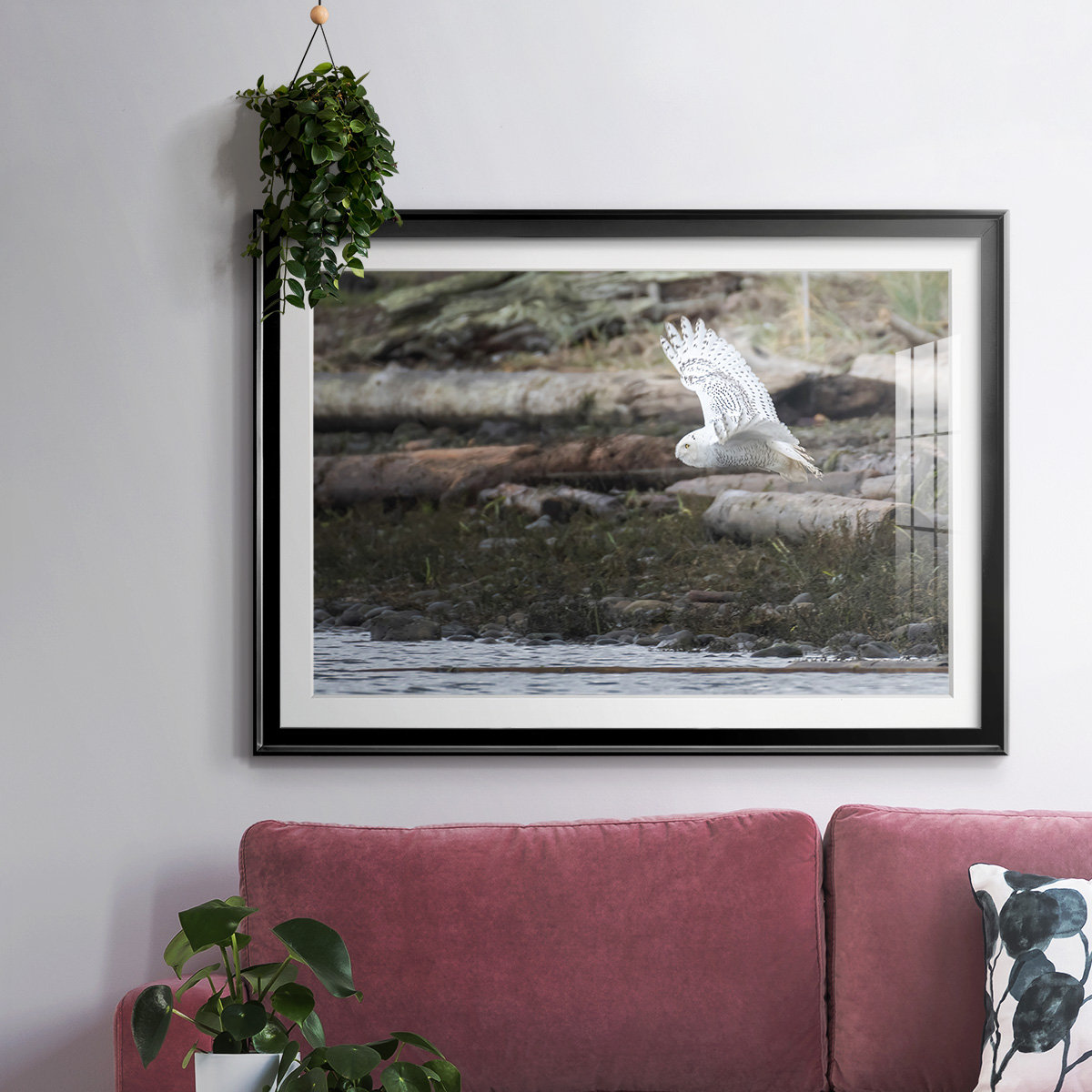 Ebern Designs Solo Flight Framed On Paper Print | Wayfair