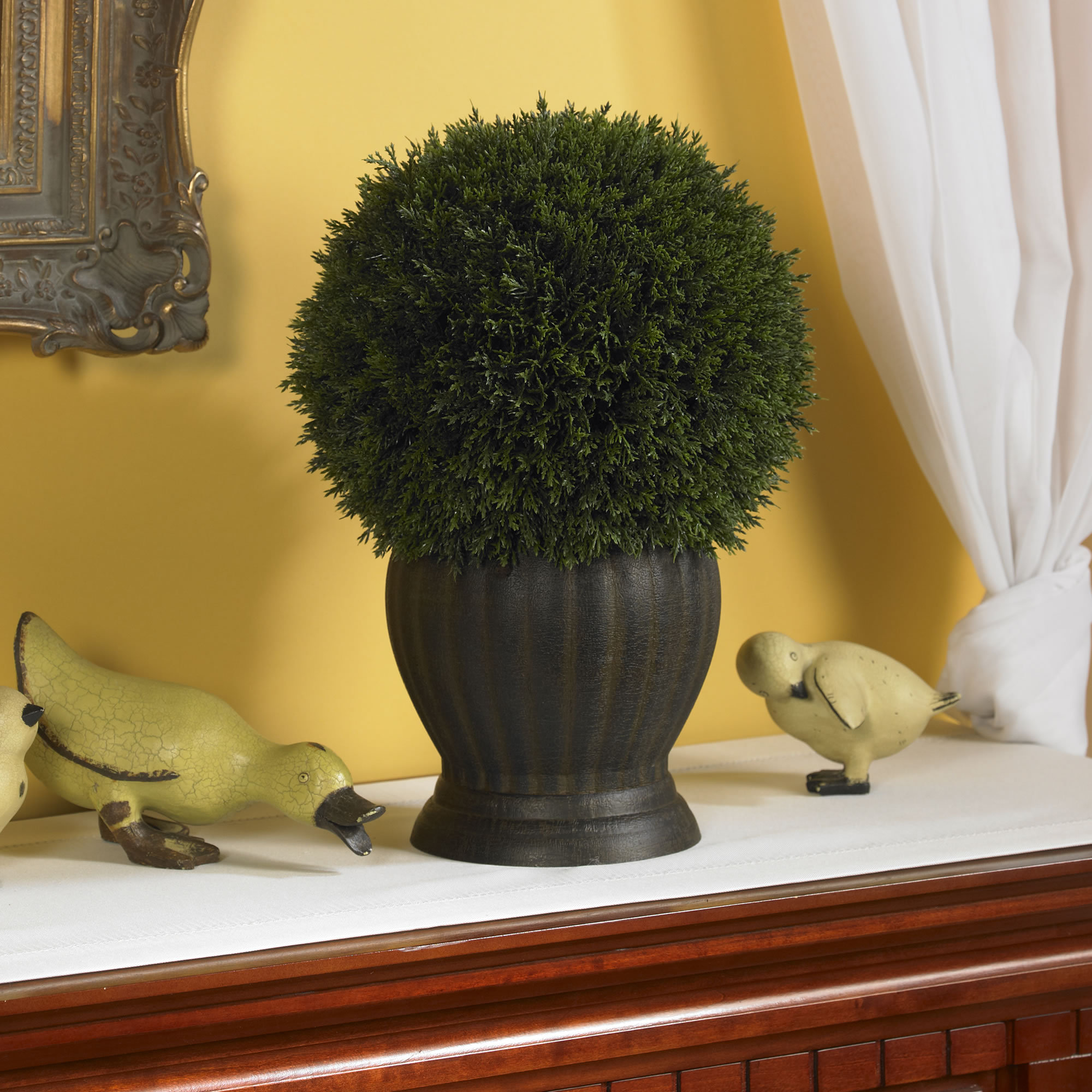 Primrue Cedar Ball Topiary in Decorative Vase & Reviews - Wayfair Canada