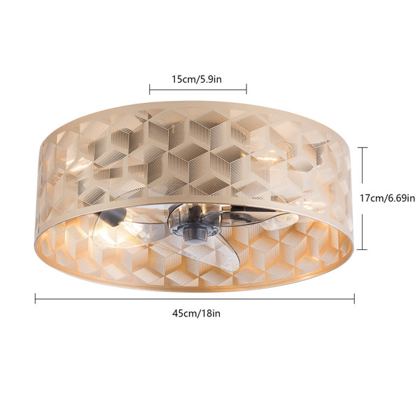 House of Hampton® Jaybin Low Profile Caged Ceiling Fan Light with ...