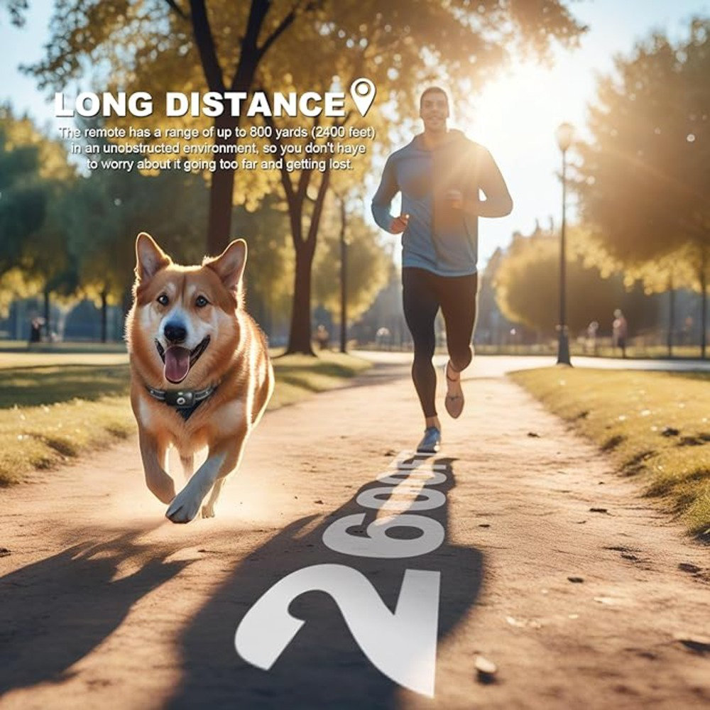 Invenitiah Portable Static Dog Training Collar | Wayfair