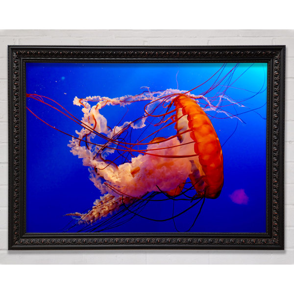 Bright Star Jellyfish Ocean - Single Picture Frame Print | Wayfair.co.uk
