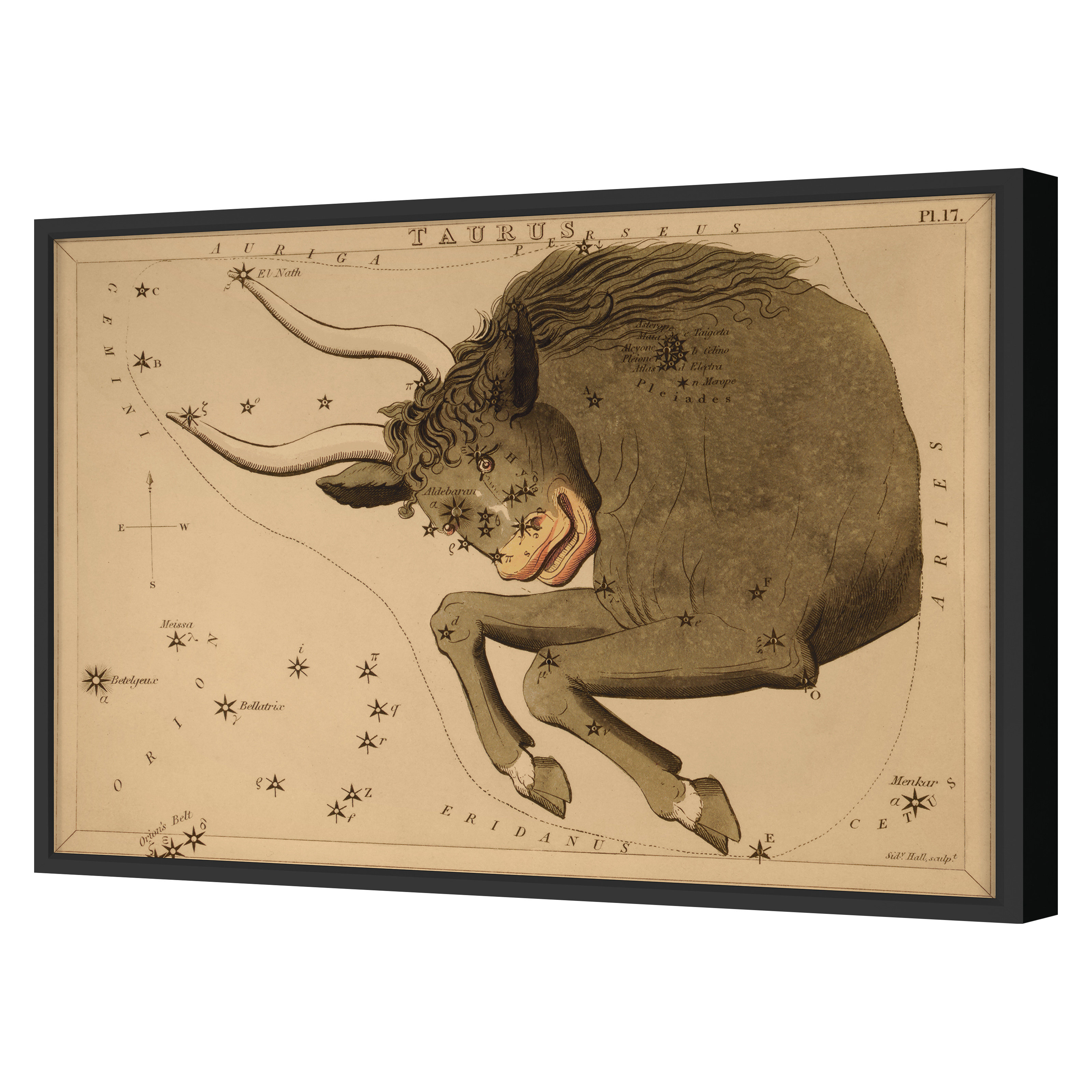 Grand Image Home Taurus by Grand Archives - Single Picture Frame Print ...