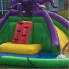 JumpOrange Octopus Water Slide with Splash Zone and Dual Slides for ...