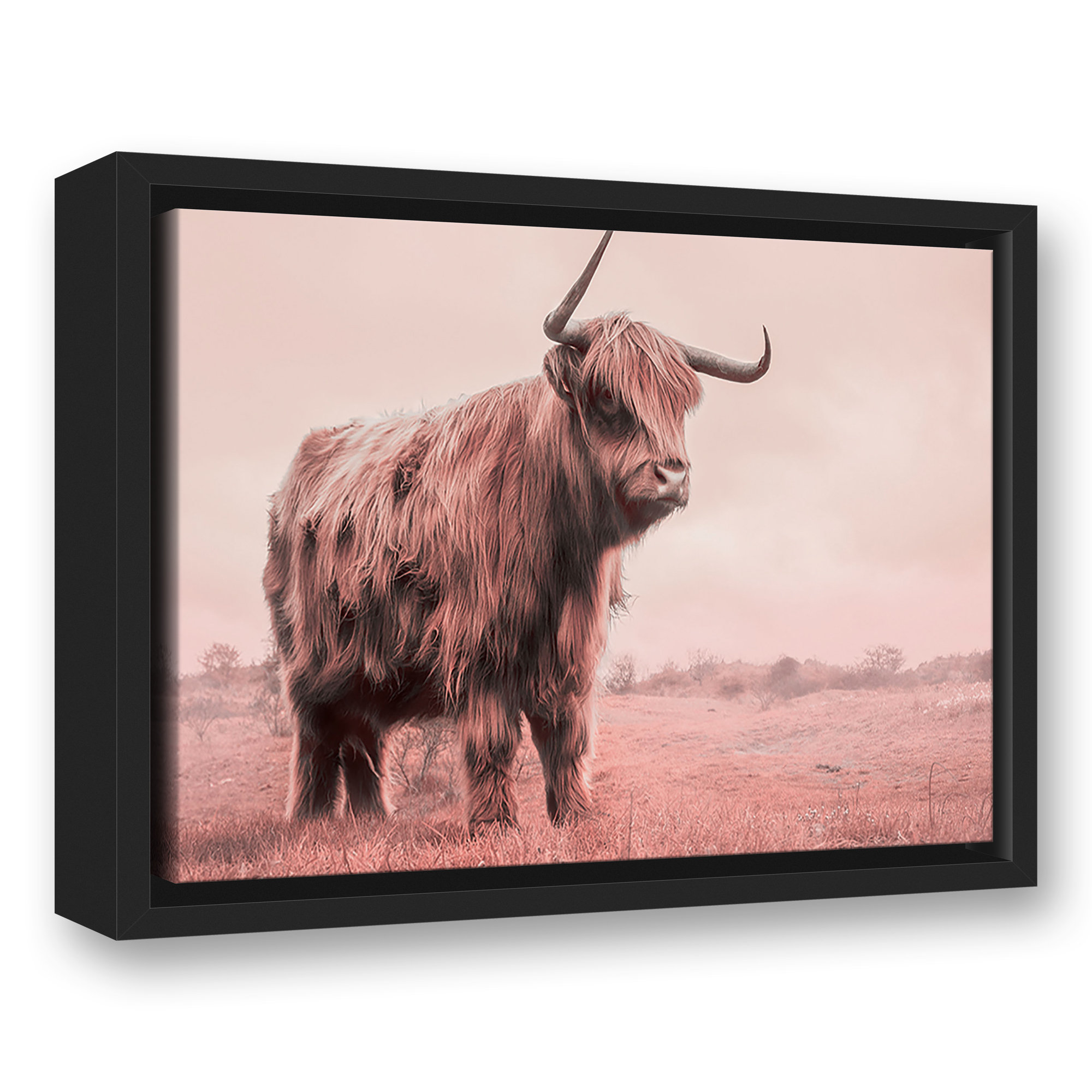 Union Rustic Pink Bull Framed On Canvas Print | Wayfair