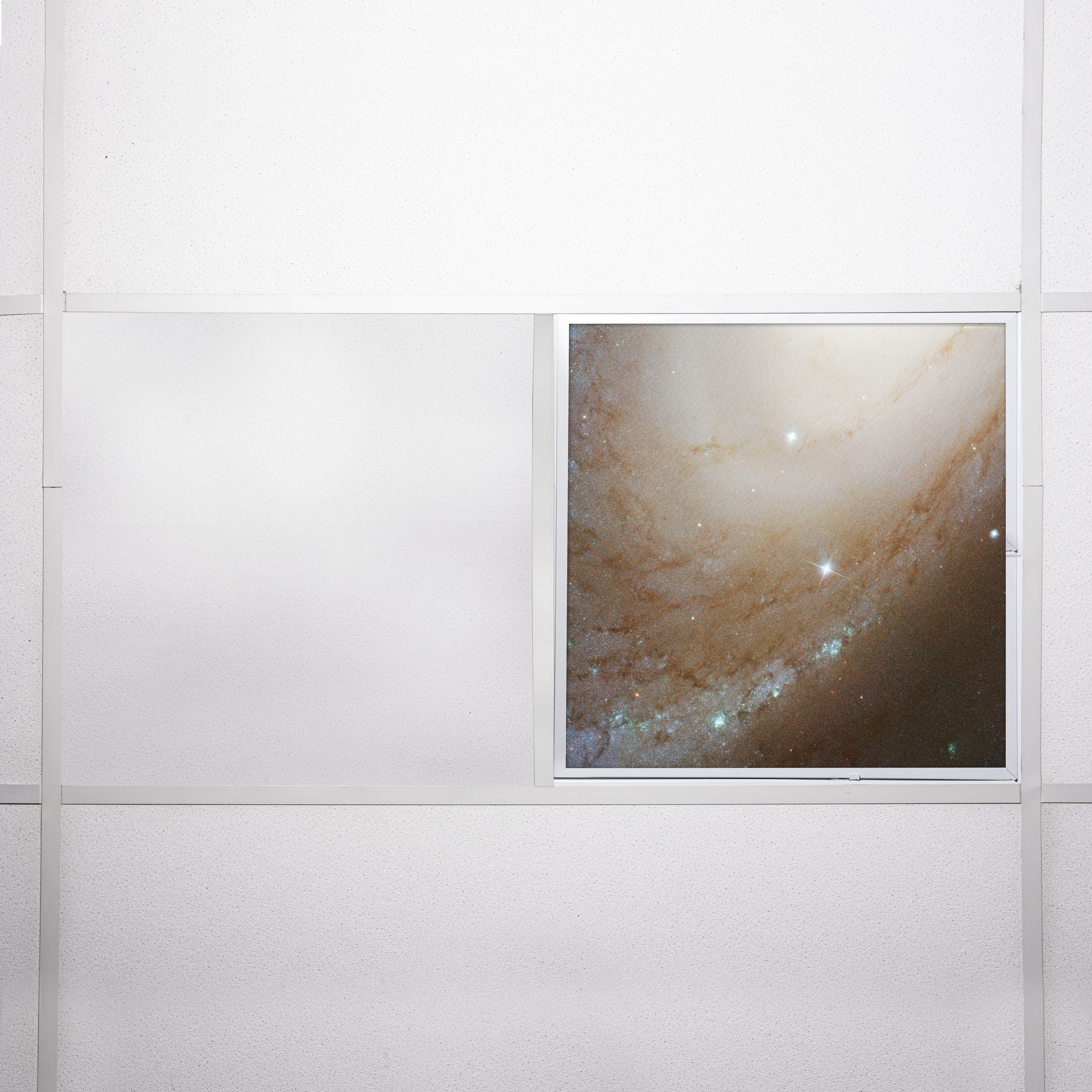 Octo Lights - Fluorescent Light Covers - Flexible Decorative Light ...