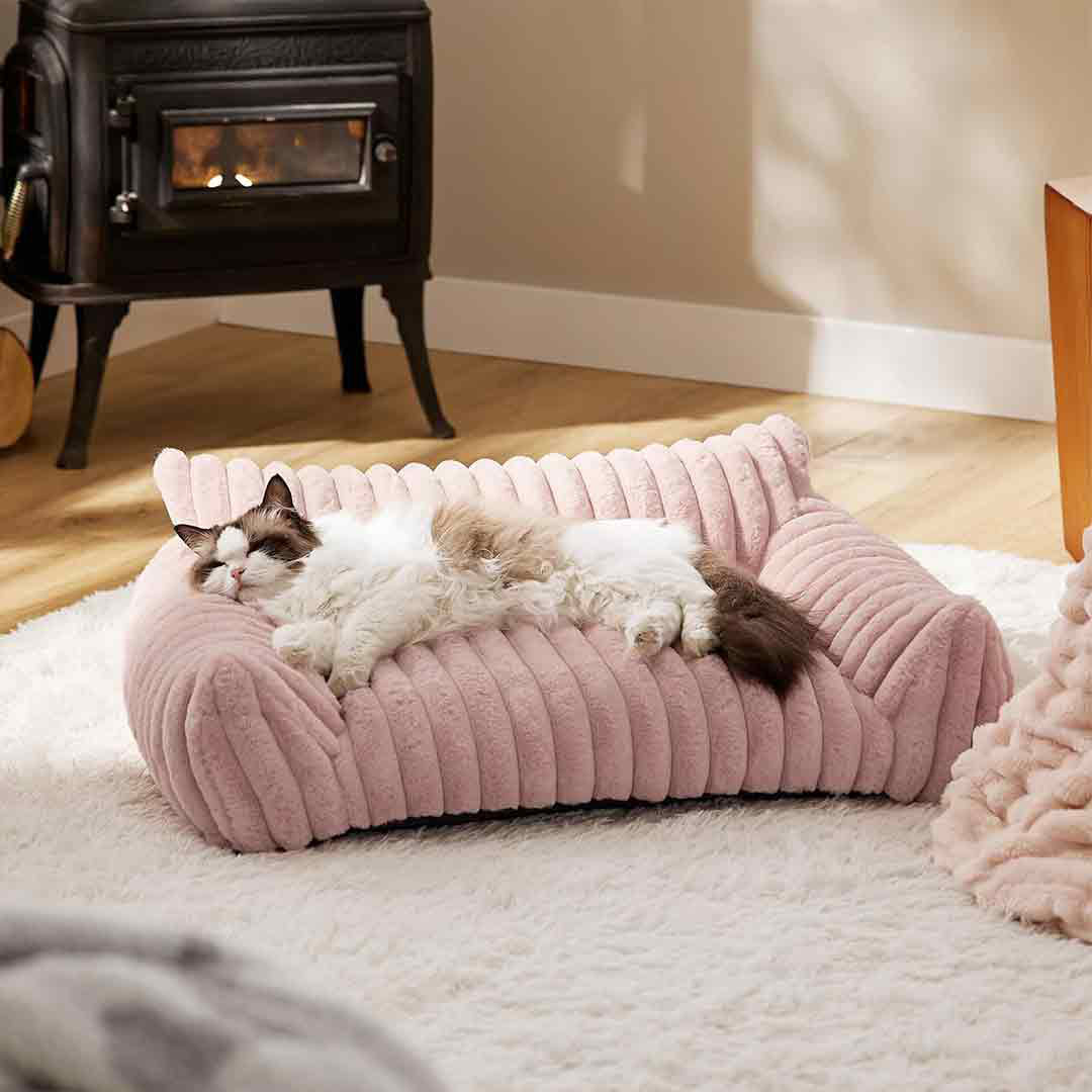 Tucker Murphy Pet™ Cute Cat Couch For Pets - Fluffy Small Dog Sofa With ...