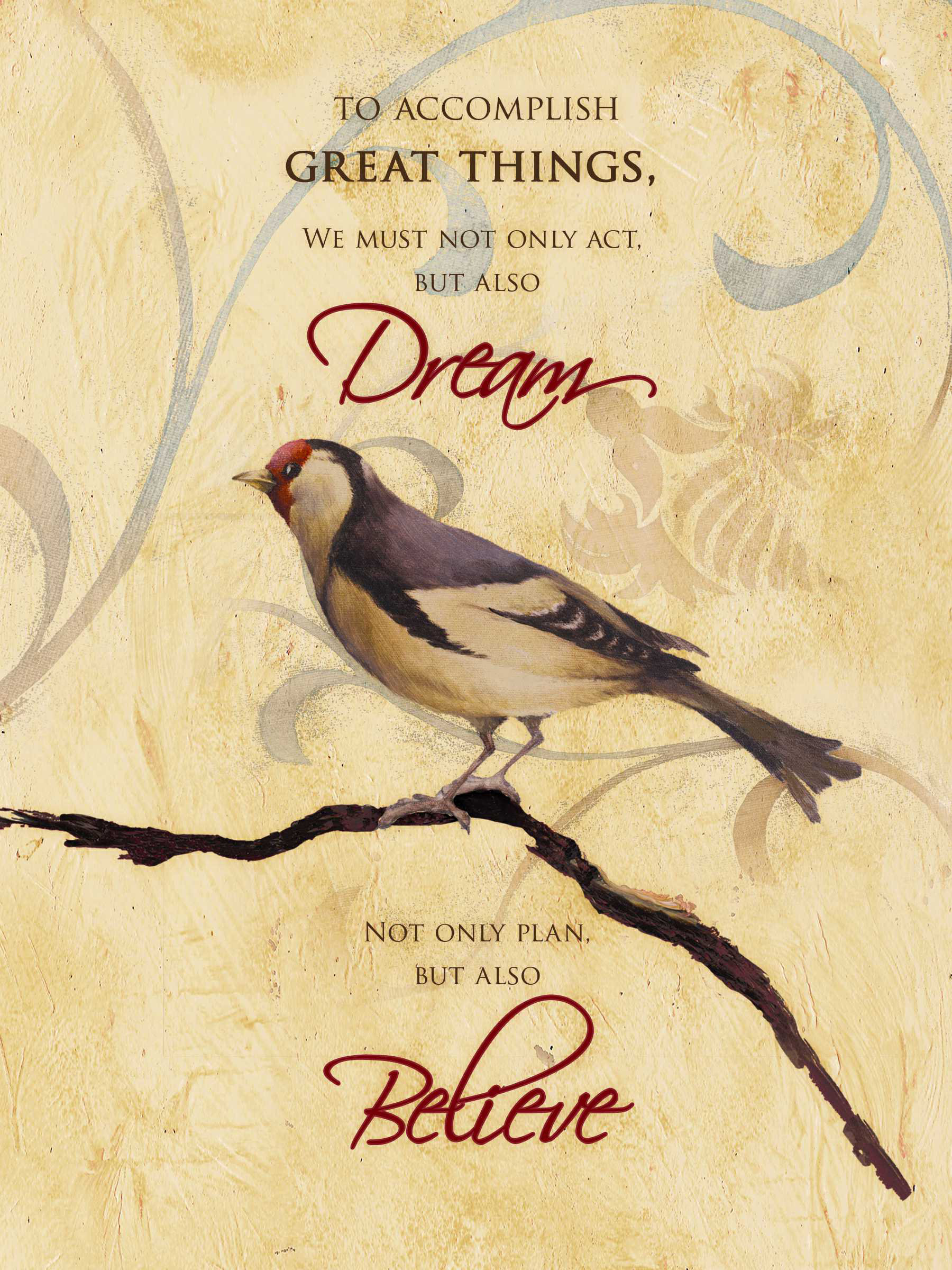 Trinx Dream Bird - Wrapped Canvas Print | Wayfair