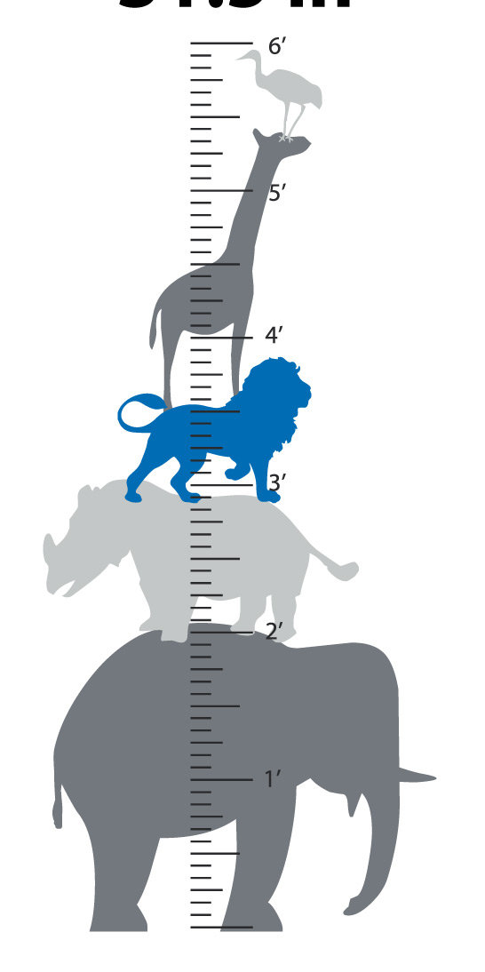 The Decal Guru Animal Growth Chart Wall Decal | Wayfair