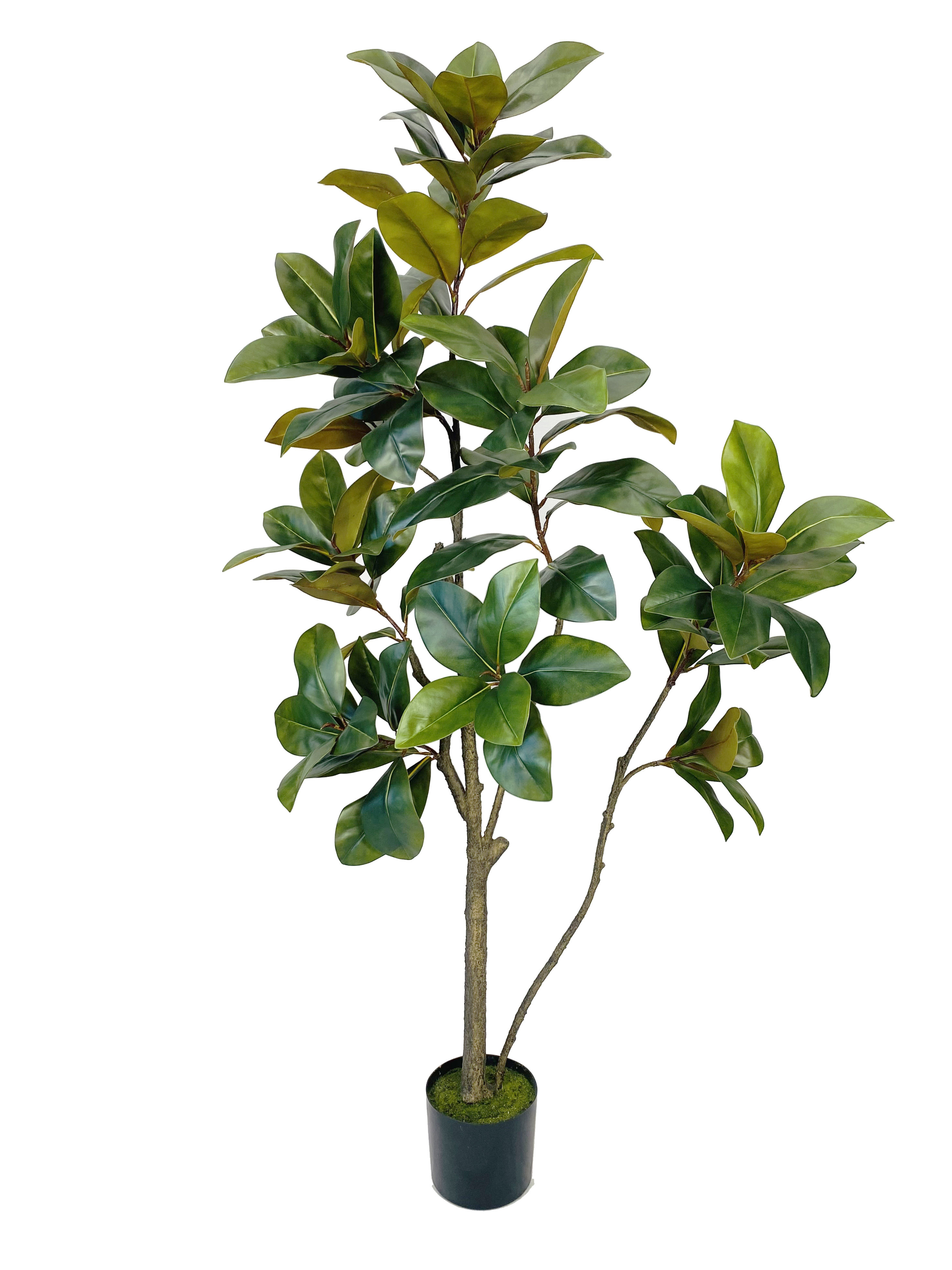 Primrue Artificial Magnolia Tree, Artificial Tree,Faux Magnolia Tree ...