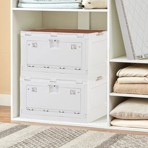 Rebrilliant Aarn 2 Pack Plastic Collapsible Storage Bins with Lid ...