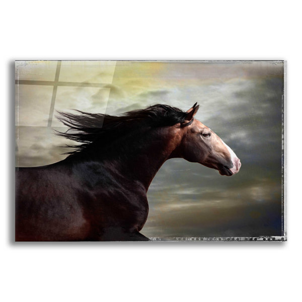 Union Rustic Epic Art 'coral Da Broa' By Susan Friedman, Acryli " Coral ...