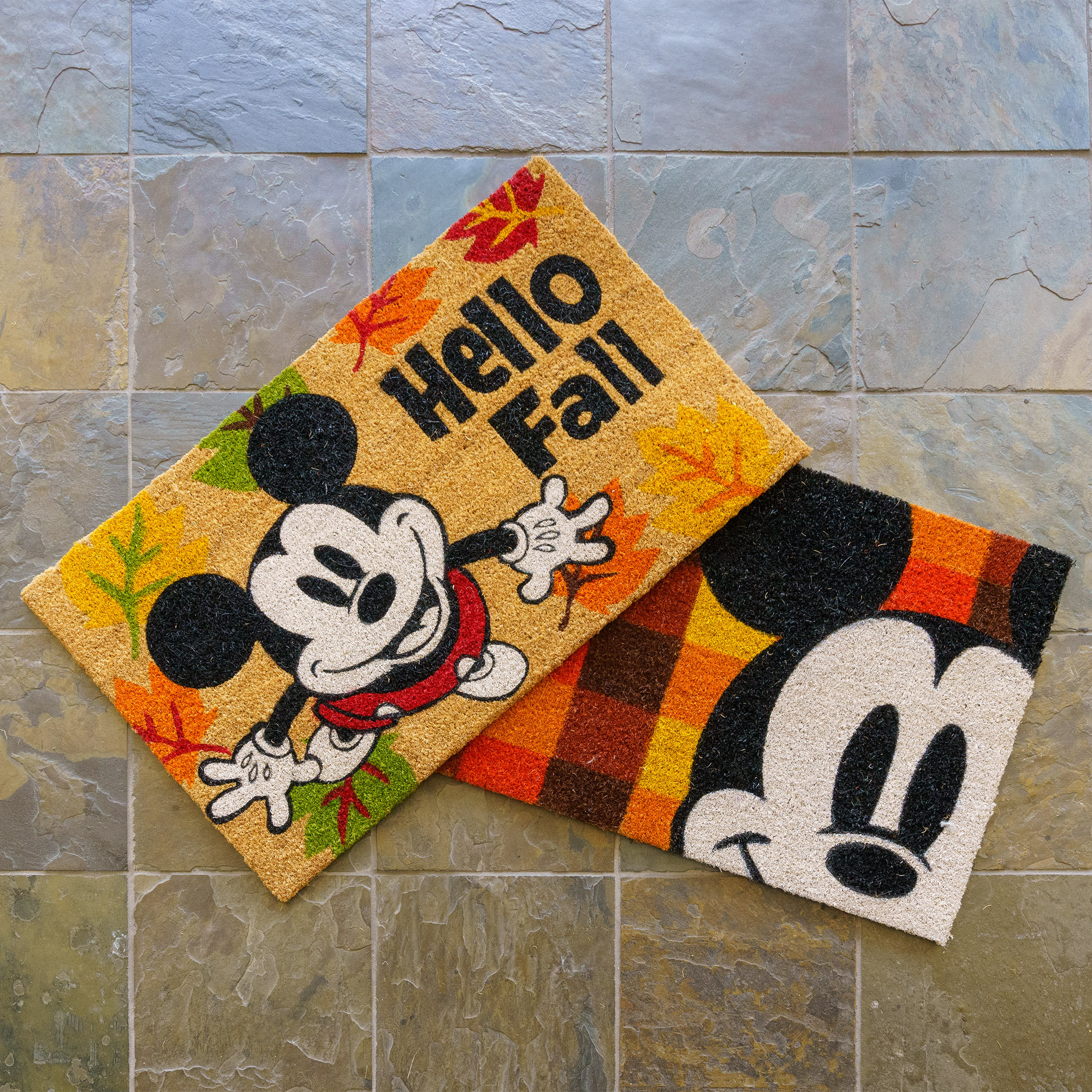 Disney by Gertmenian Licensed Mickey Mouse Coir Autum 'Hello Fall' and ...