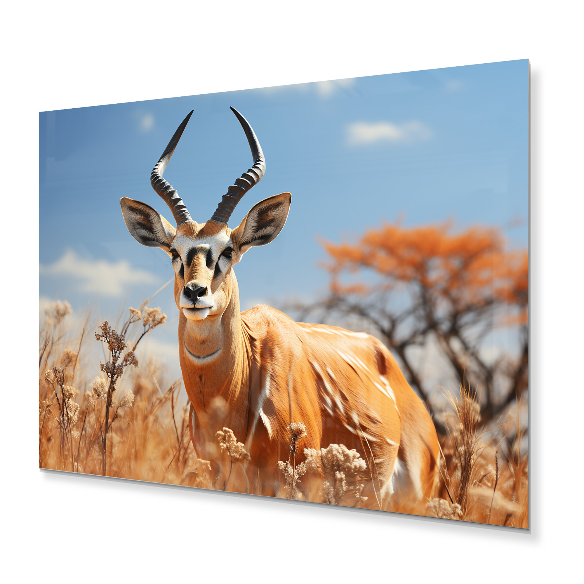 Latitude Run® Antelope Graceful Wanderer - Animals Print on Metal | Wayfair