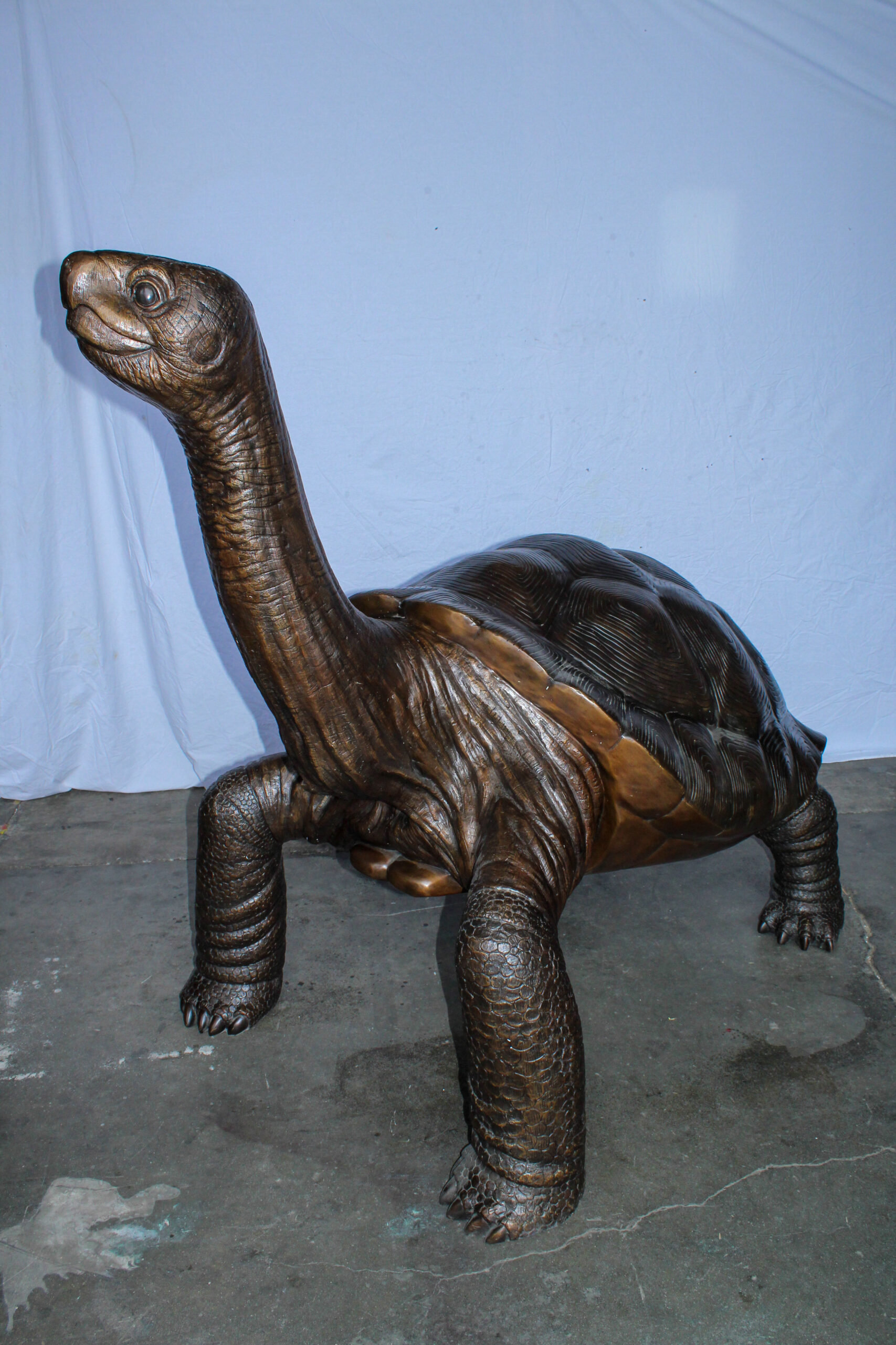 Red Barrel Studio® Giant Bronze Tortoise Statue with Detailed Textured ...