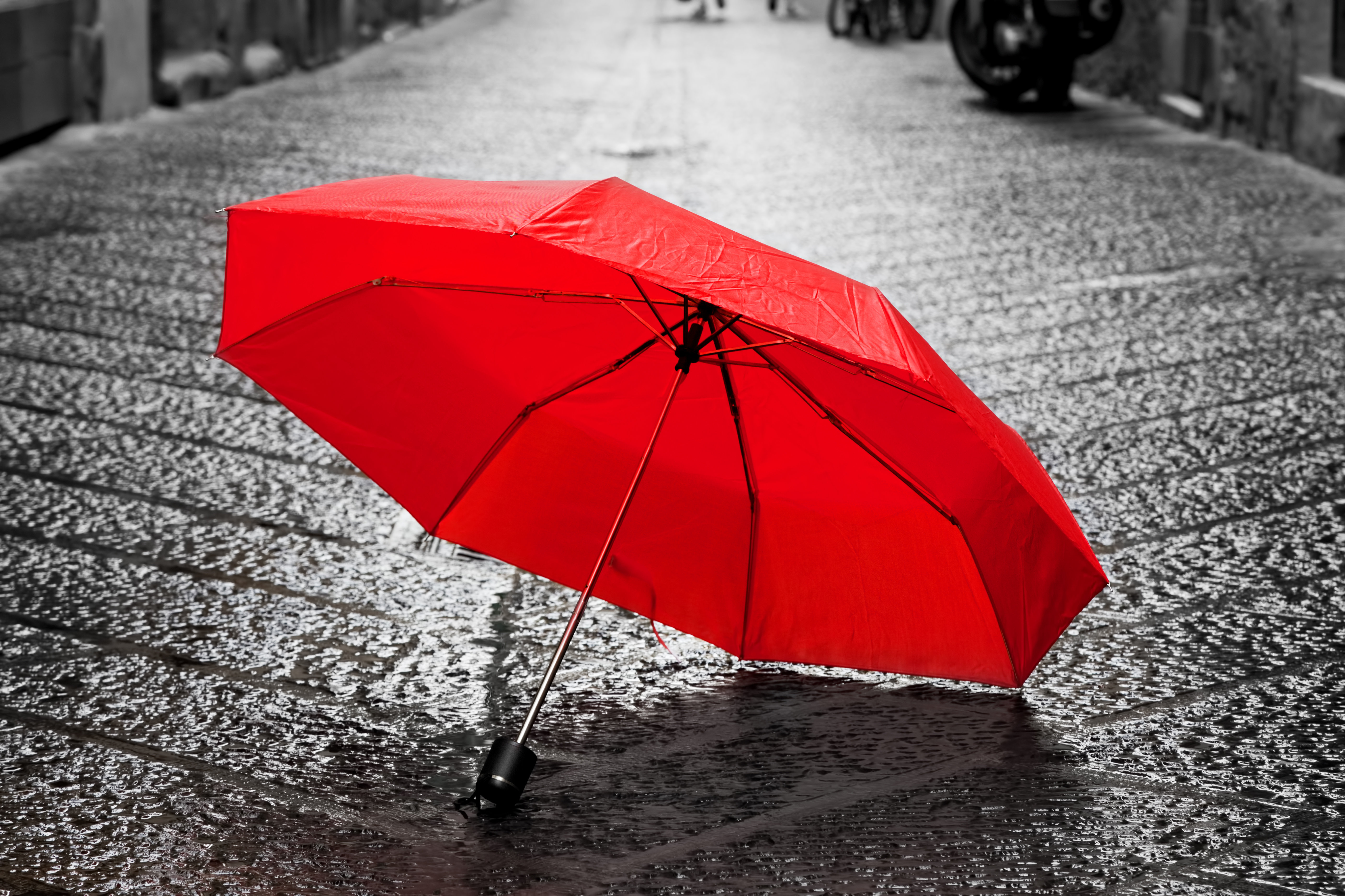 Ebern Designs Red Umbrella - Wrapped Canvas Photograph | Wayfair