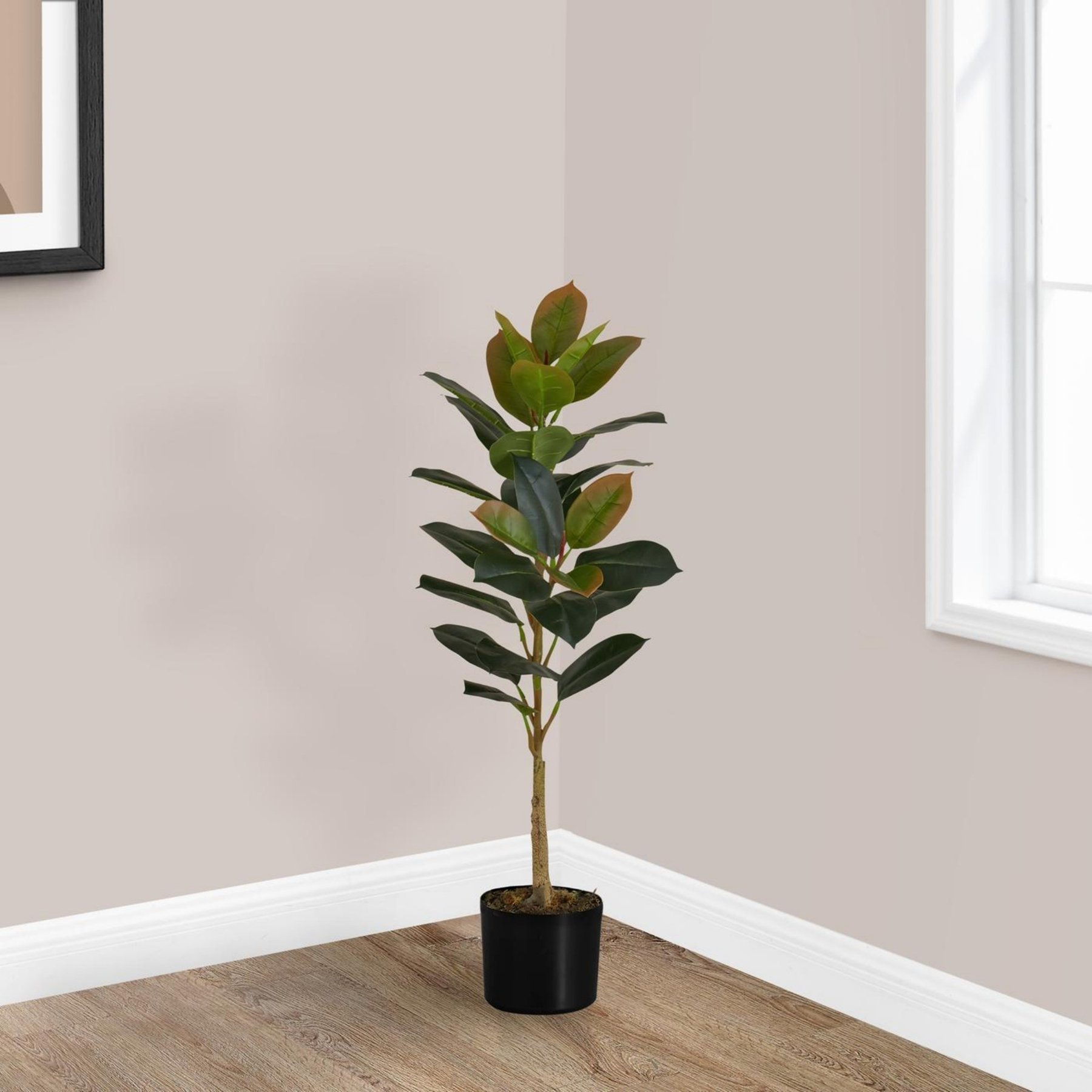 Primrue Medium Rubber Tree for Indoor Greenery - Wayfair Canada