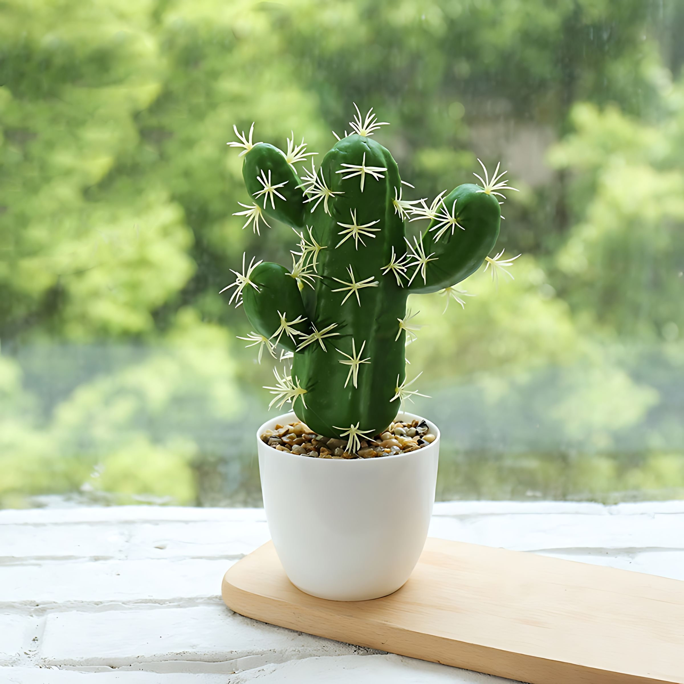 George Oliver Nordic Green Plants, Indoor Cacti, Small Potted Plants ...