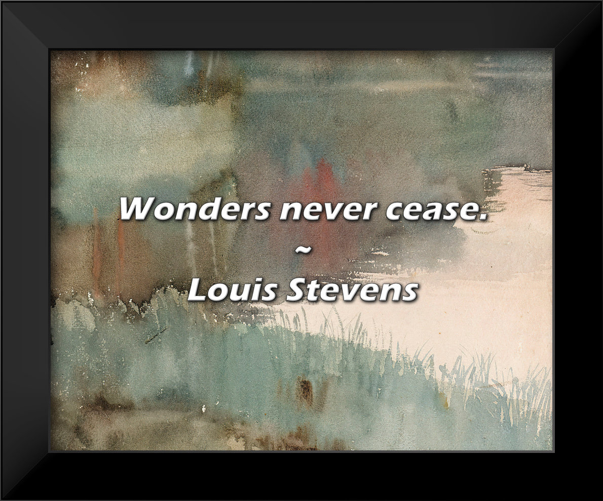 Latitude Run® Louis Stevens Quote: Wonders never cease. | Wayfair