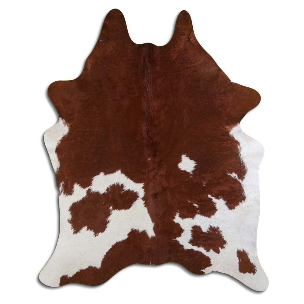 Foundry Select Tapis en cuir de vache Novelty 5 pi x 7 pi Taranique ...