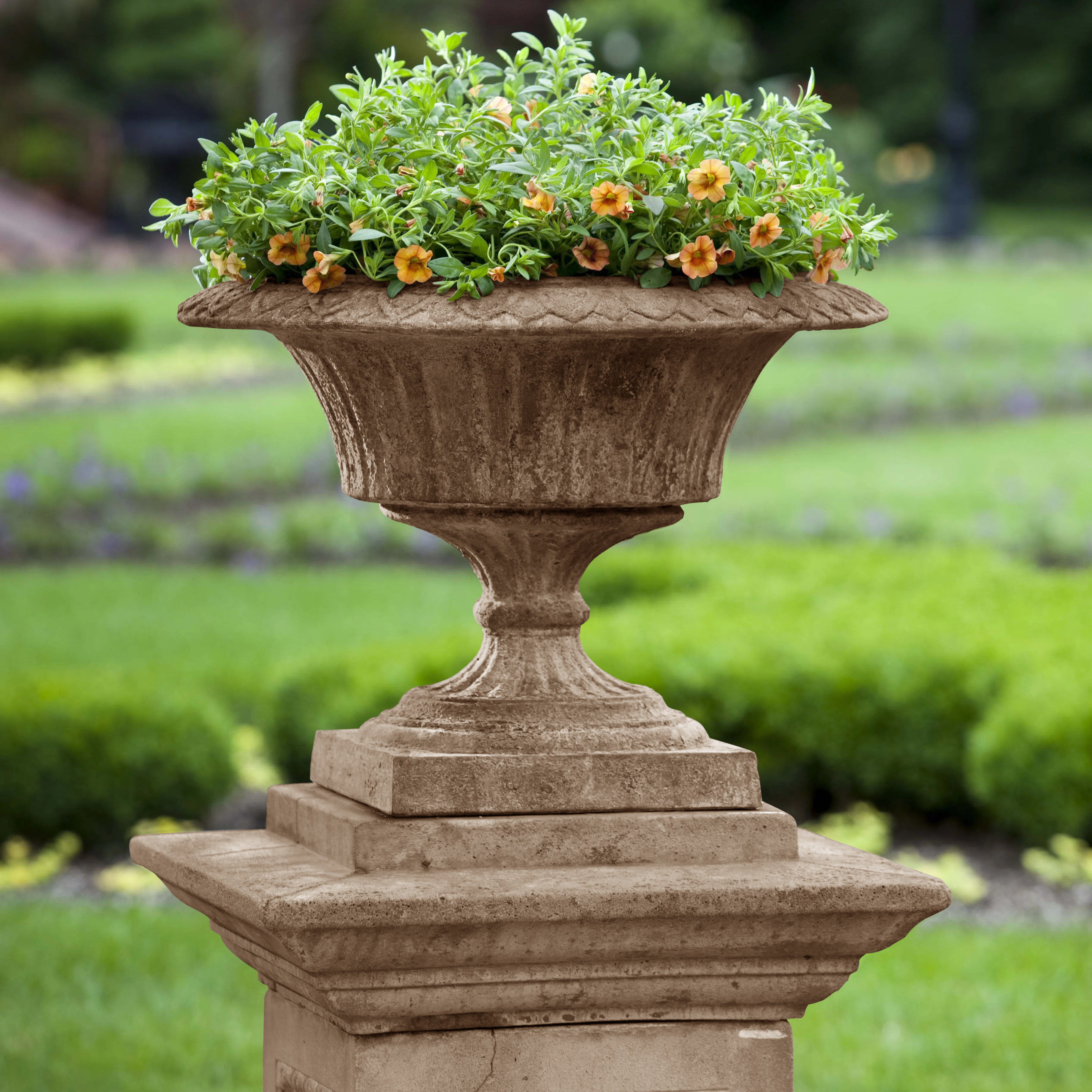 Darby Home Co Smithsonian Cast Stone Urn Planter (Individual item ...