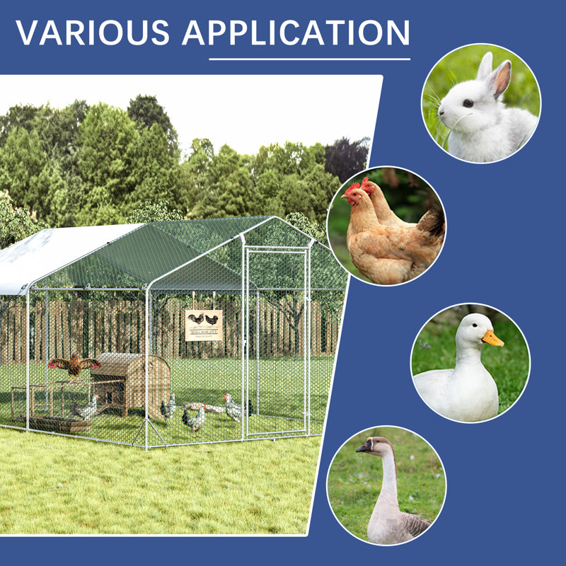 Tucker Murphy Pet™ Cheyane Walk In & Reviews | Wayfair