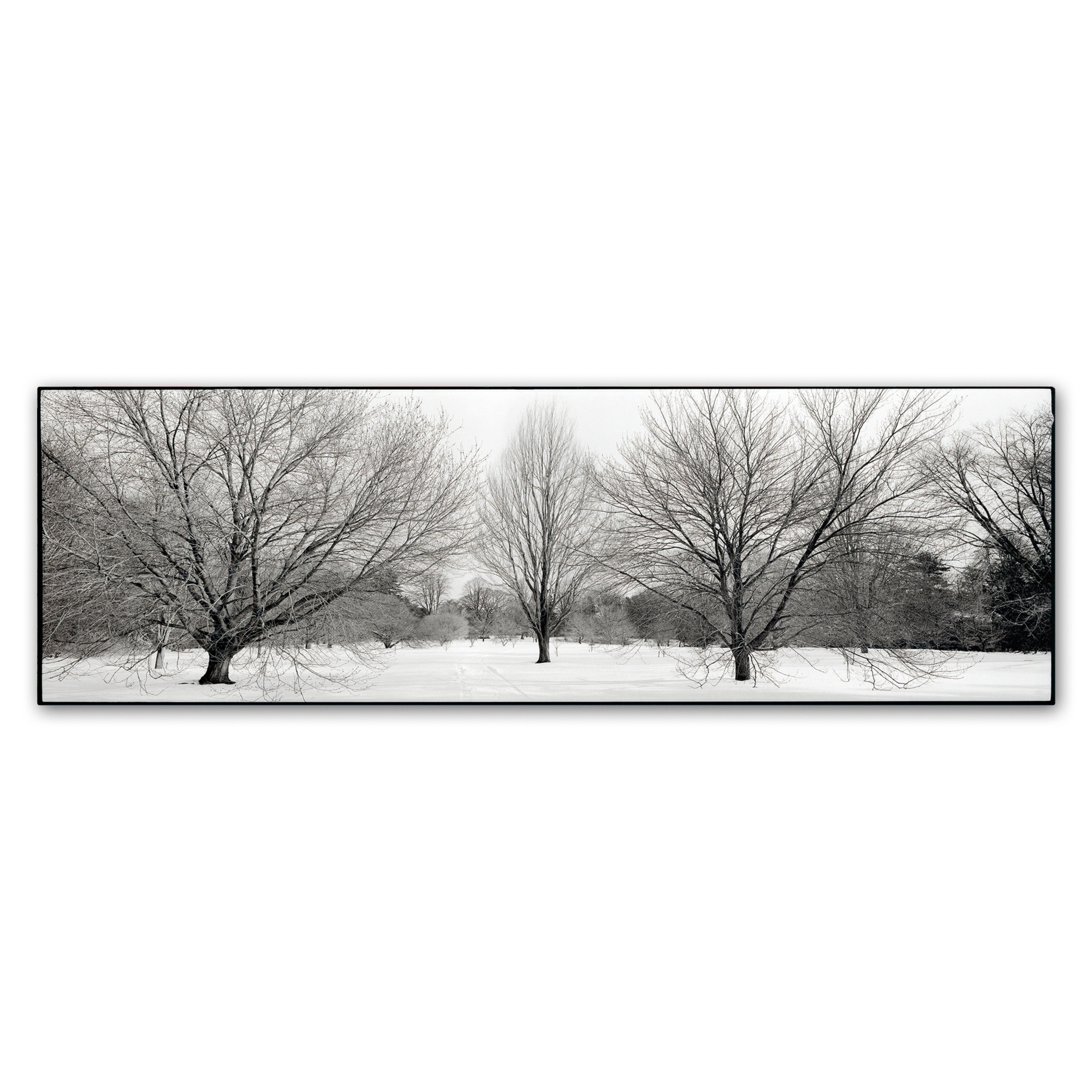 Ebern Designs Winter Garden I by Alan Blaustein - Photograph Print on ...