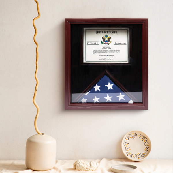 DECOMIL 25'' H x 23'' W Wood Display Cases & Reviews | Wayfair