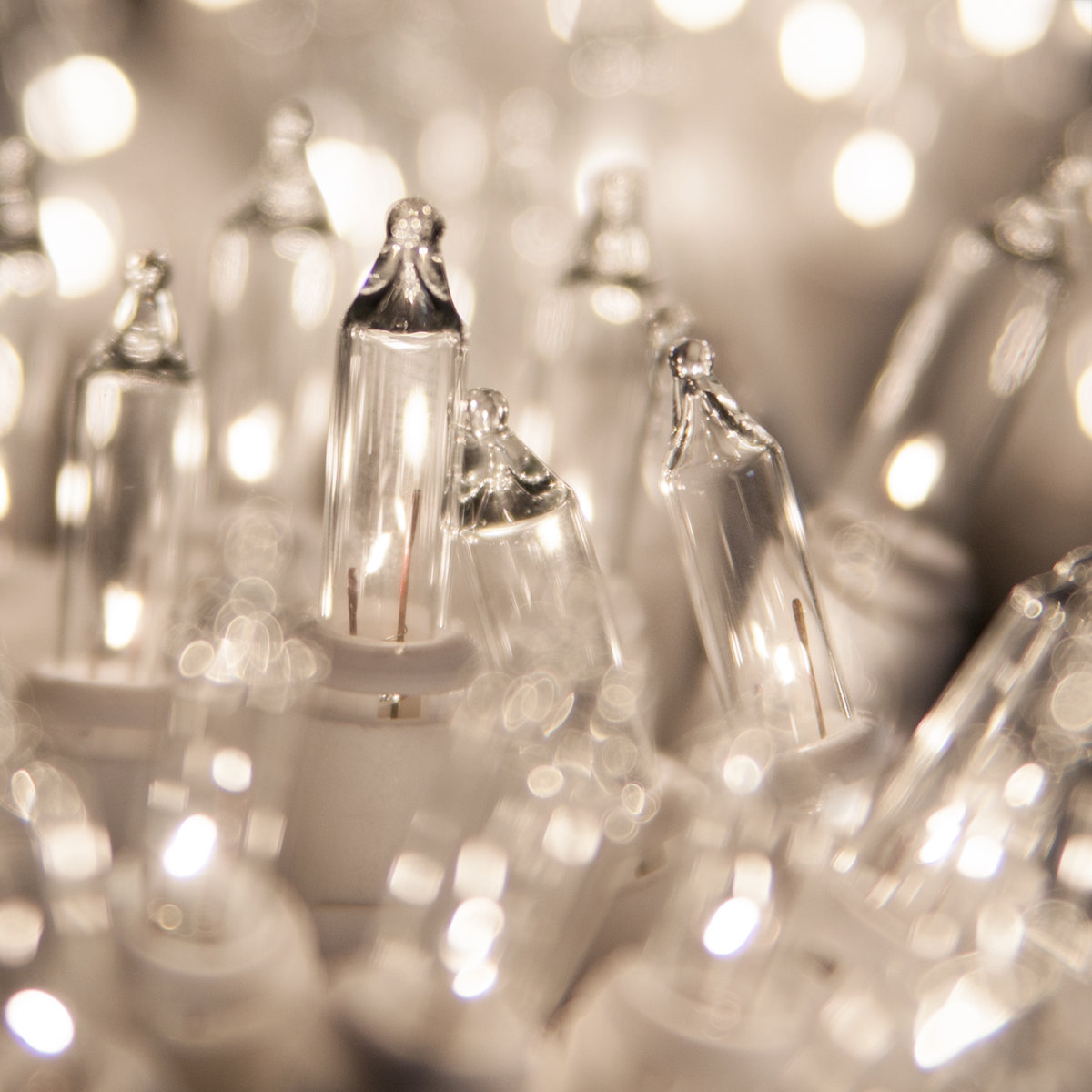 The Holiday Aisle® The Holiday Aisle 100 String Lights & Reviews | Wayfair