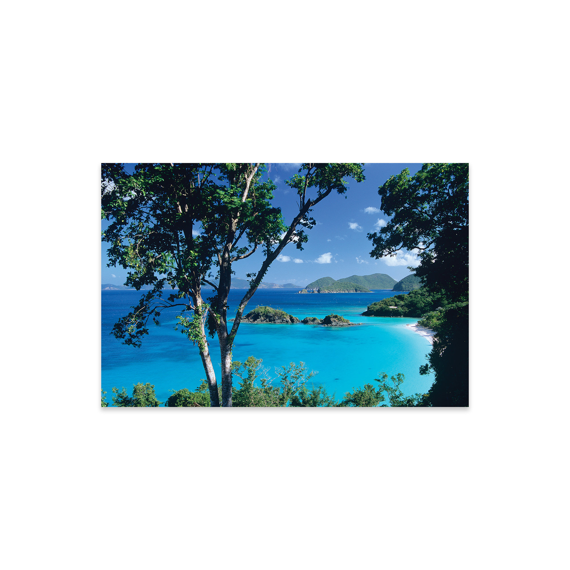 Dovecove Audino Caribbean Seen Through Trees, Virgin Islands National ...