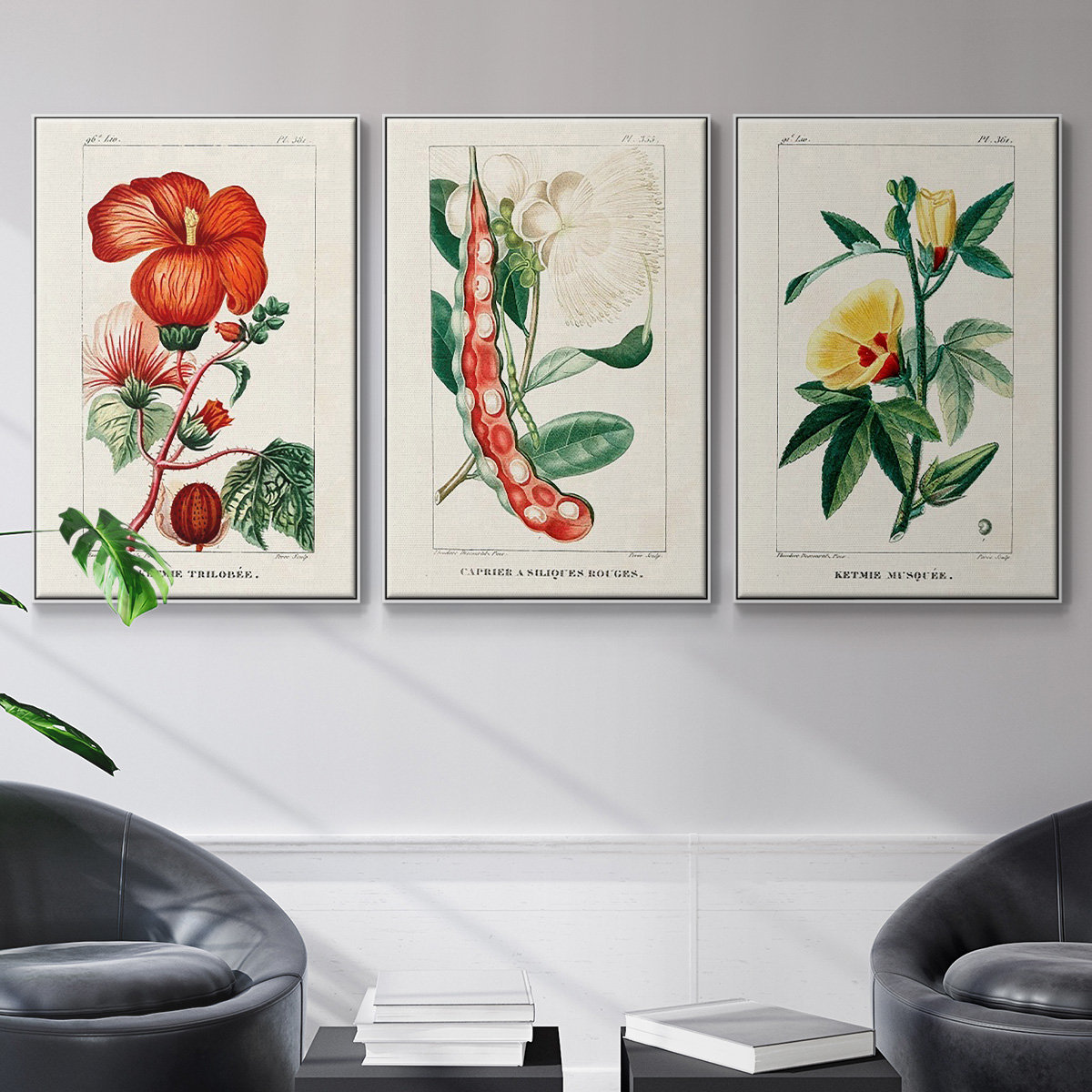 Wexford Home Turpin Tropical Botanicals VI Framed On Canvas 3 Pieces ...