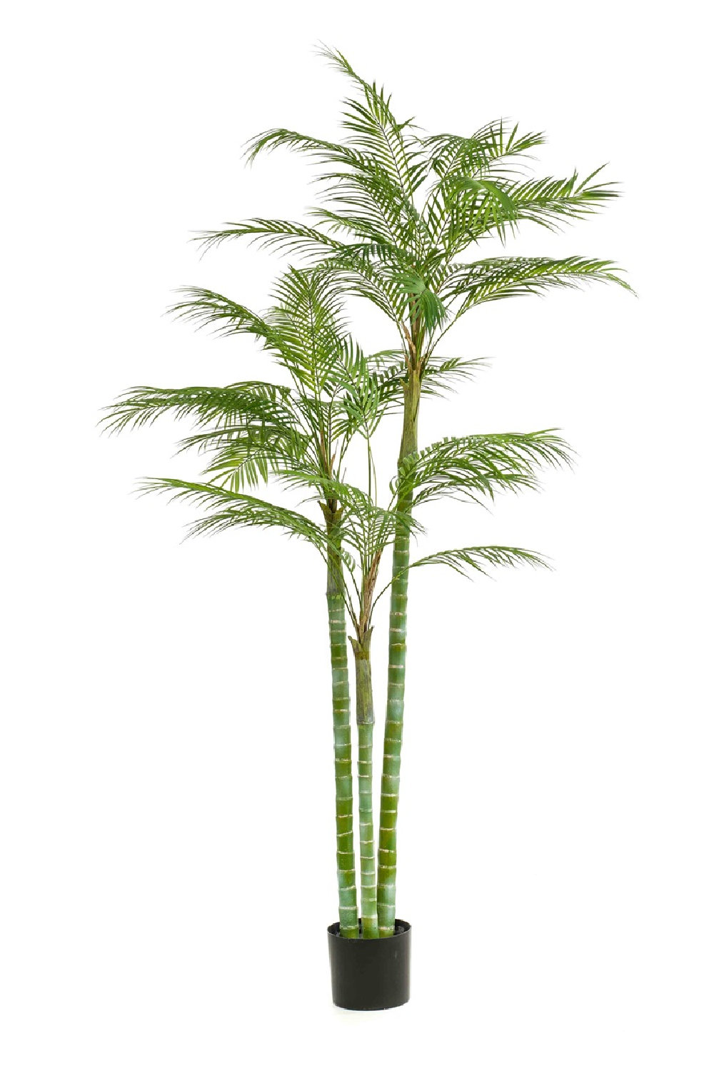 Primrue 2 - Piece Artificial Palm Tree in Pot Liner Set | Wayfair