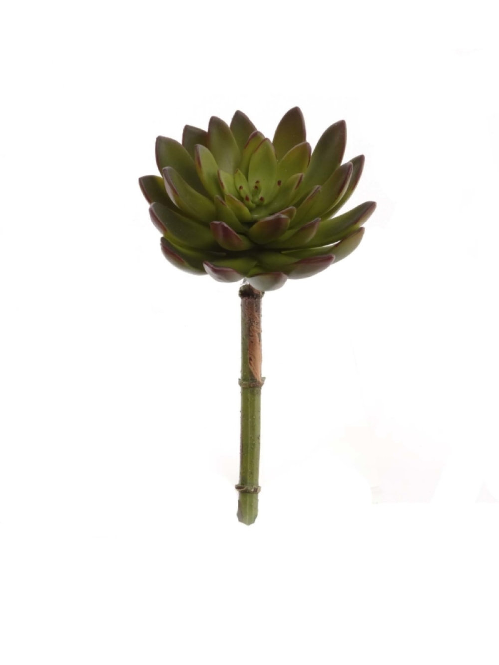 Primrue Moreno 9'' Tall Artificial Succulent Plant | Wayfair