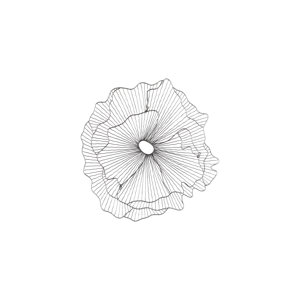 Phillips Collection Poppy Flower Wall Decor In Silver/Black | Perigold