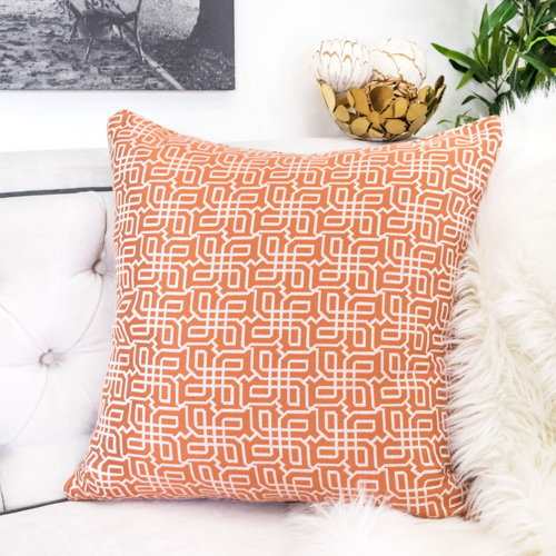 Orange Throw Pillows You'll Love