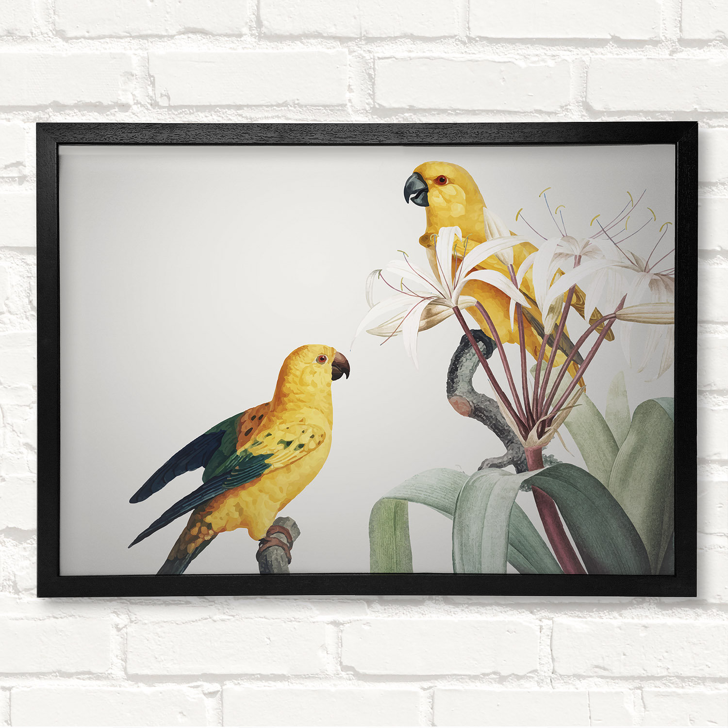Latitude Run Two Yellow Parrots Framed Print | Wayfair.co.uk