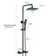 ACME Furniture Thermostatic Complete Shower System | Wayfair