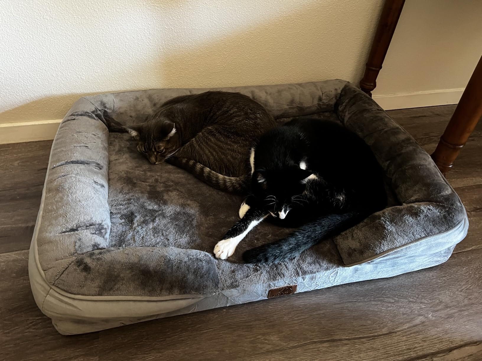 Archie & Oscar™ Cat Beds for Indoor Cats,Supportive Foam Pet Couch Bed ...